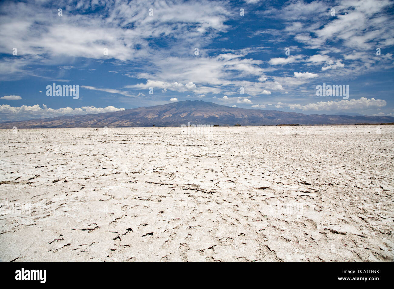 Gelai hi-res stock photography and images - Alamy