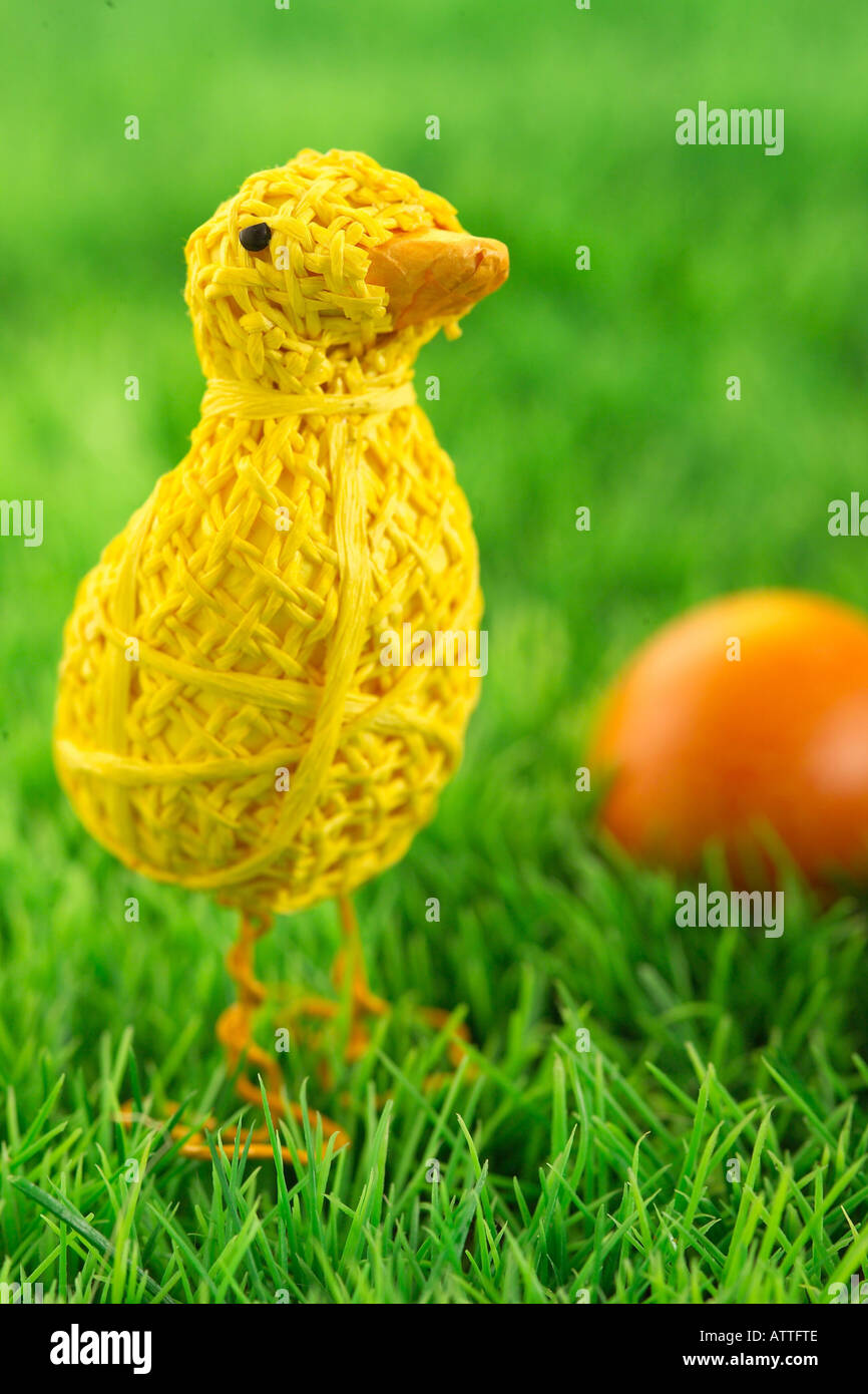 Wool chicken hi-res stock photography and images - Alamy