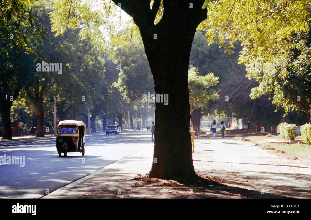 New Delhi India Tree Lined Avenue with Auto Rickshaw Stock Photo - Alamy