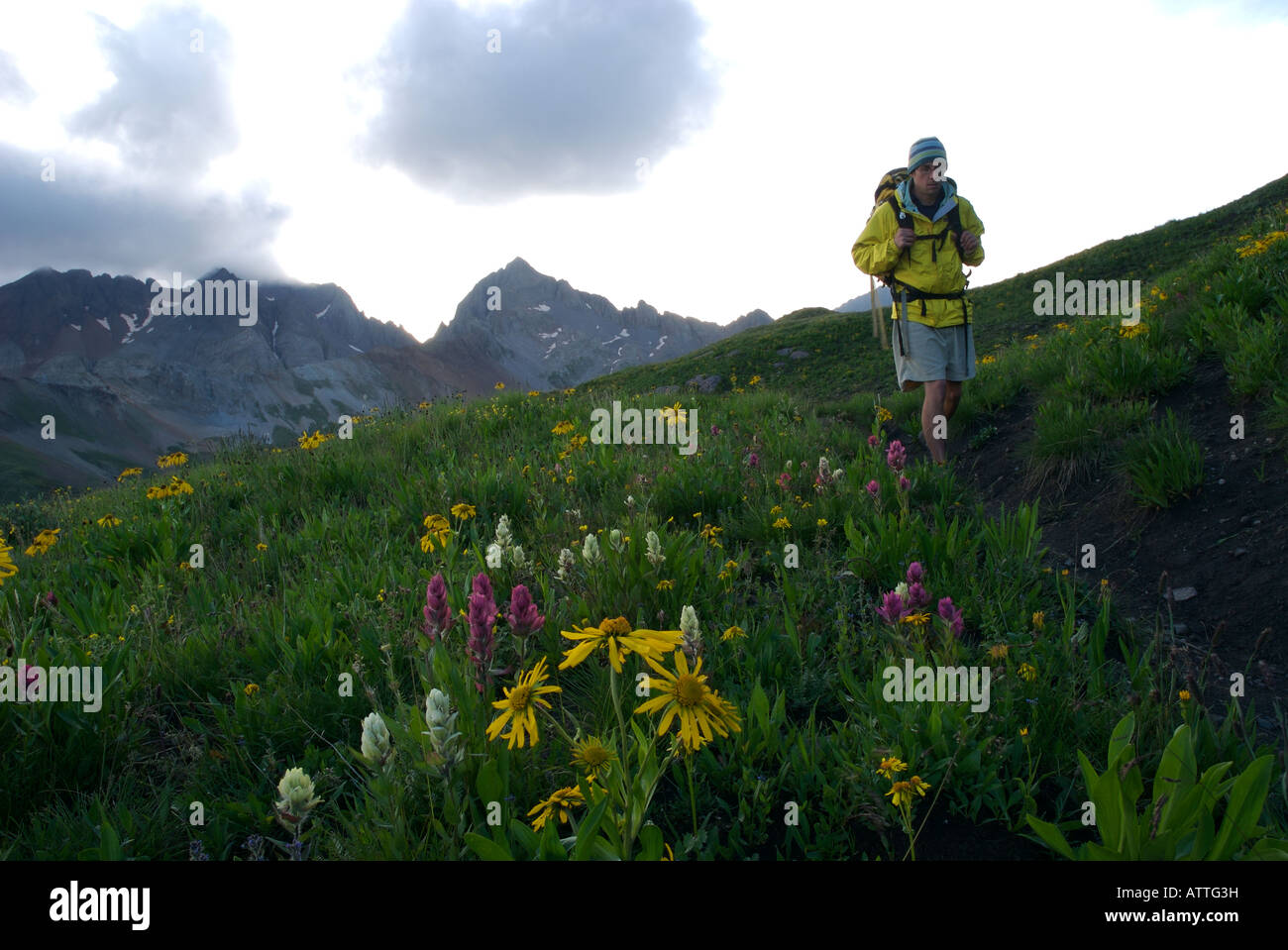 a hiker on the Cross mountain trail with wild flowers in the foreground ...