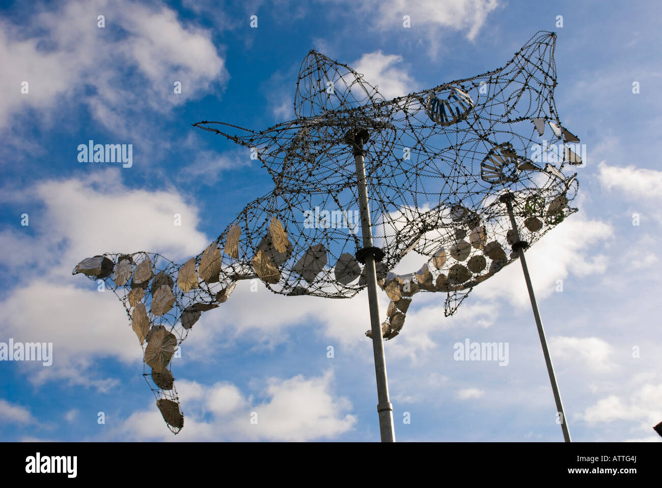 Fish Wire High Resolution Stock Photography and Images - Alamy