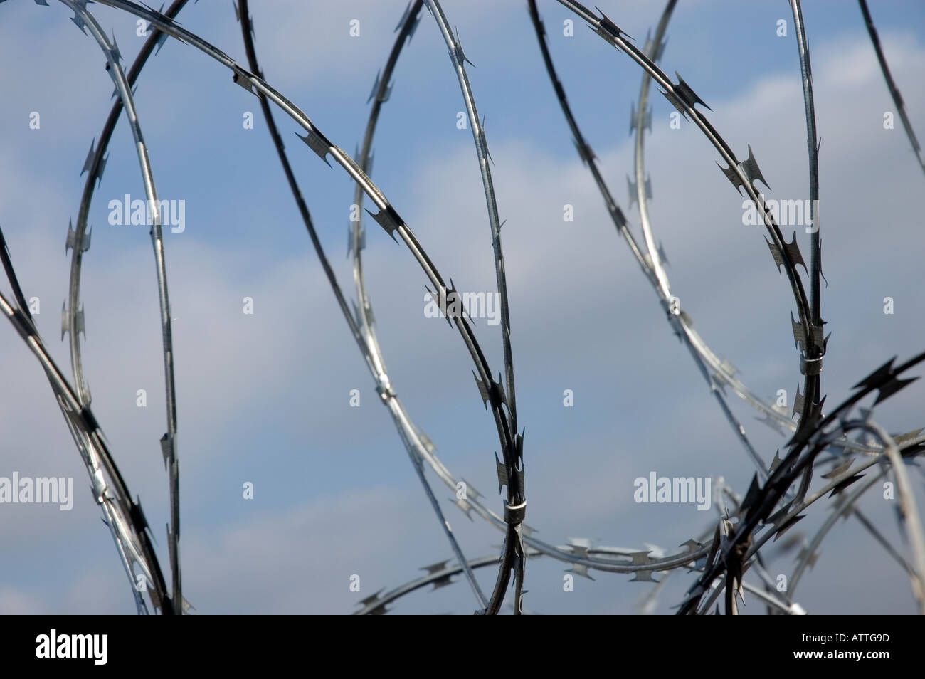 Wire snare trap hi-res stock photography and images - Alamy