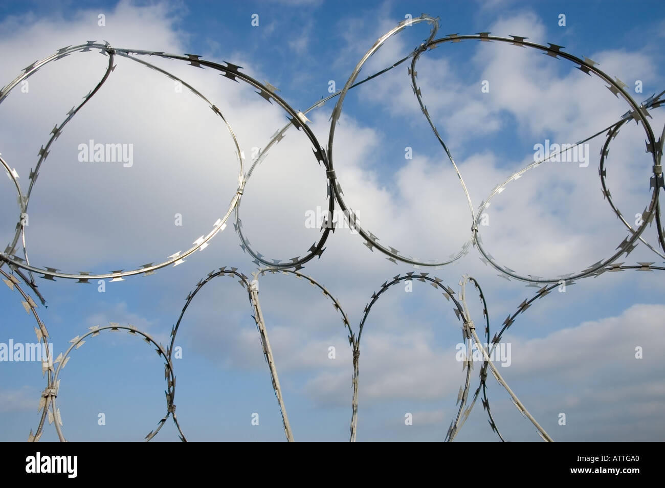 Wire snare trap hi-res stock photography and images - Alamy