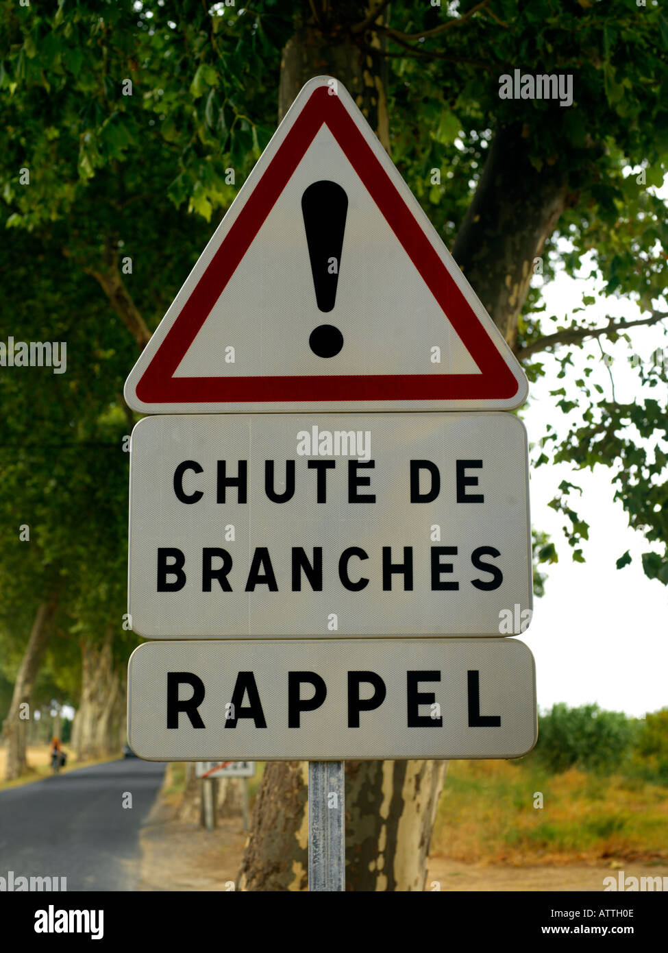 Chute de branches hi-res stock photography and images - Alamy