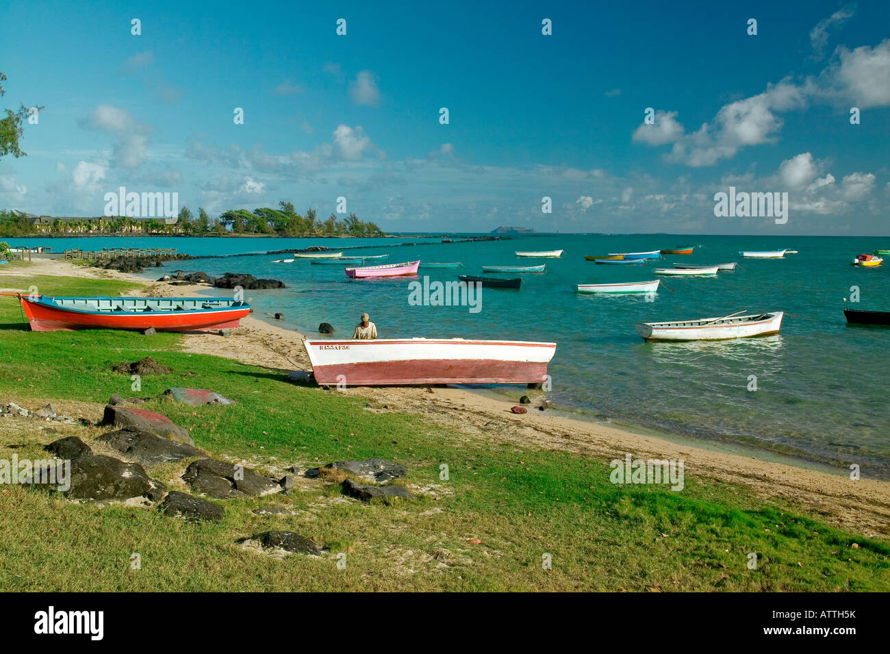 Calodyne mauritius hi-res stock photography and images - Alamy