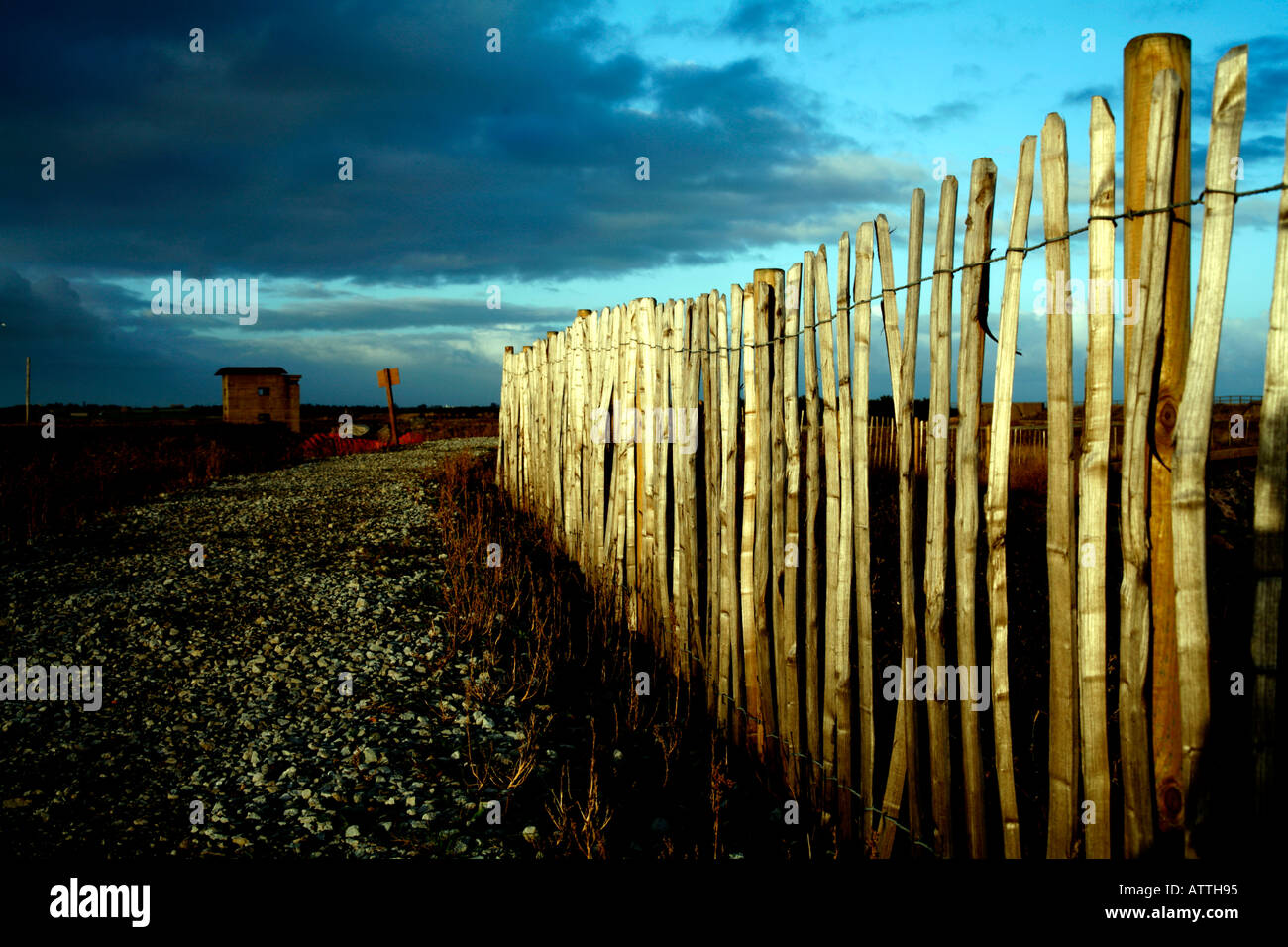 Temporary fencing to protect walkers on Suffolk Coast Path erected as a ...