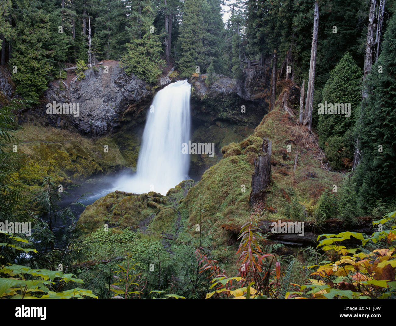 Shahalie waterfall on mckenzie river hi-res stock photography and ...