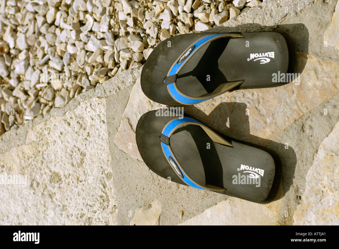 Close up pebbles sea shoe hi-res stock photography and images - Alamy