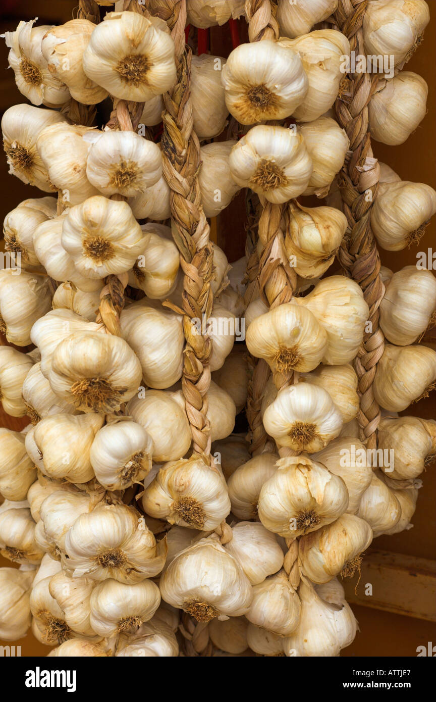 Close up hanging strings of garlic at market stall in old town section ...