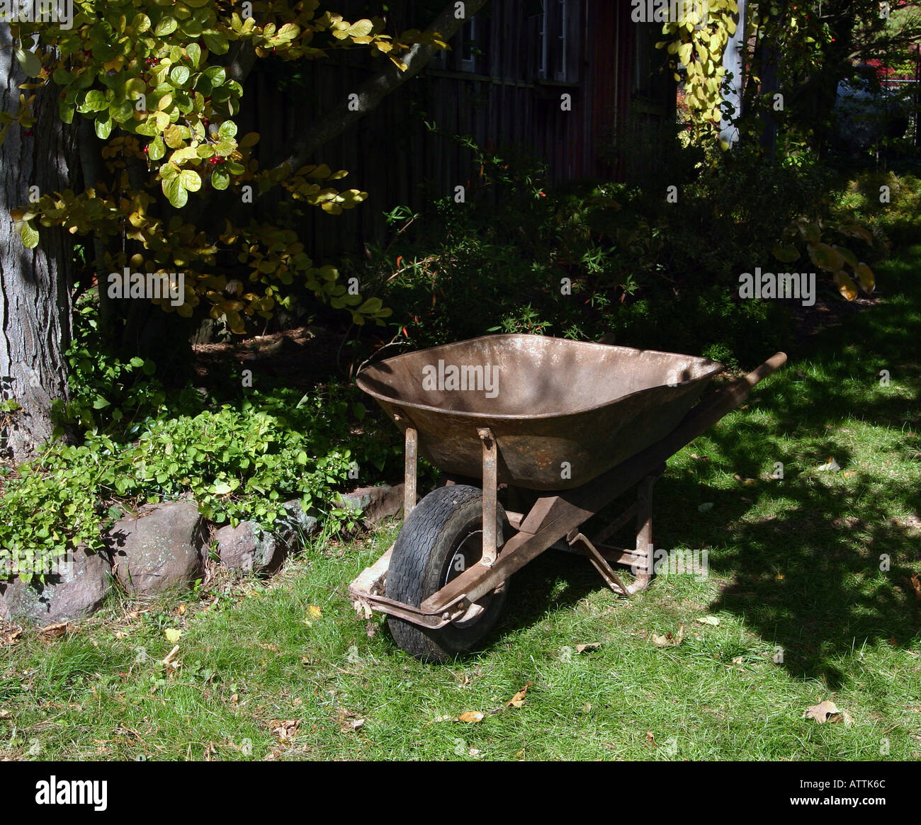 A wheelbarrow sitting under a backyard tree waiting for work Stock ...