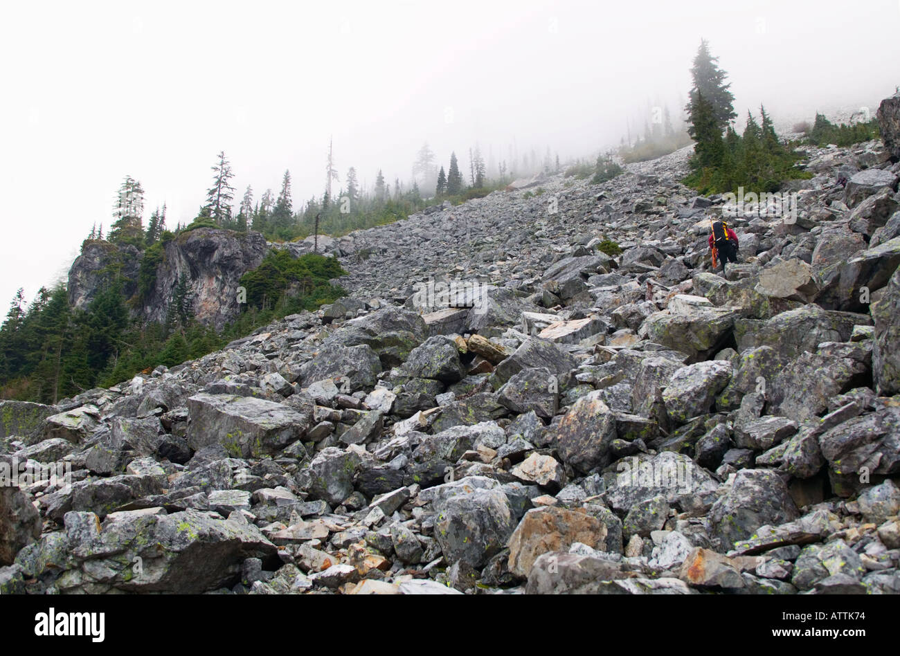 Talus field hi-res stock photography and images - Alamy