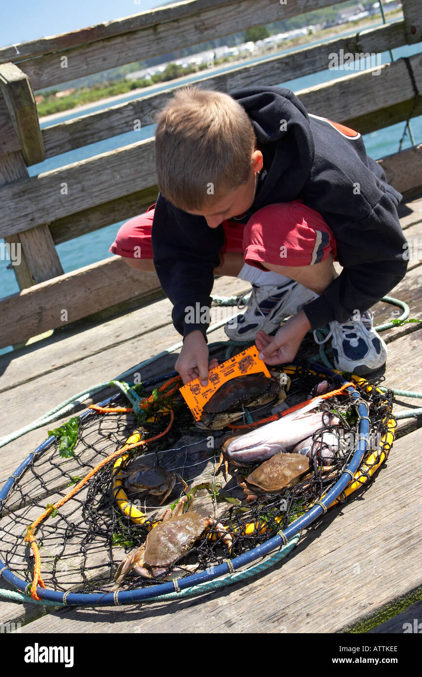 Crab net child hi-res stock photography and images - Alamy