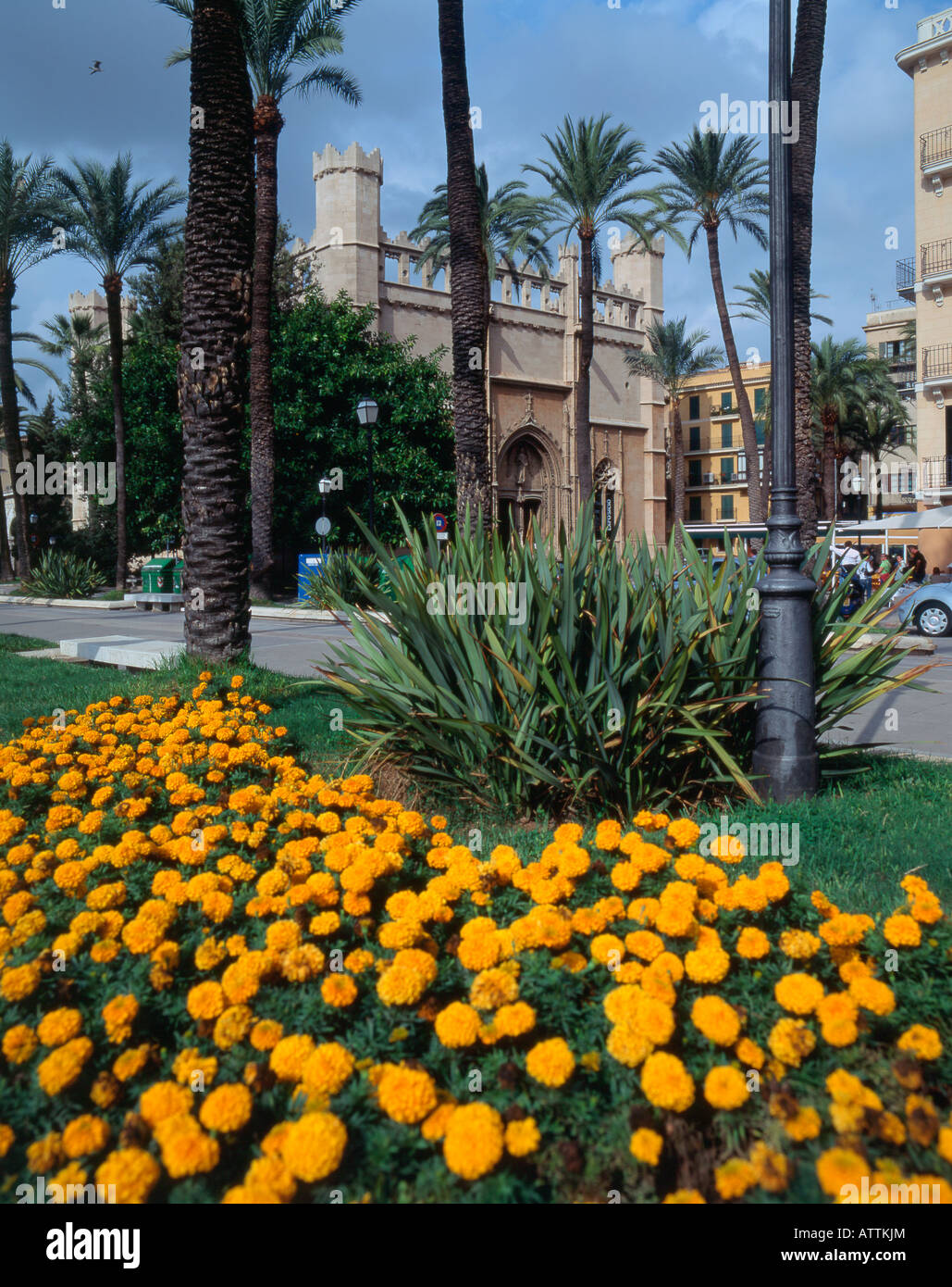 Mayorca hi-res stock photography and images - Alamy