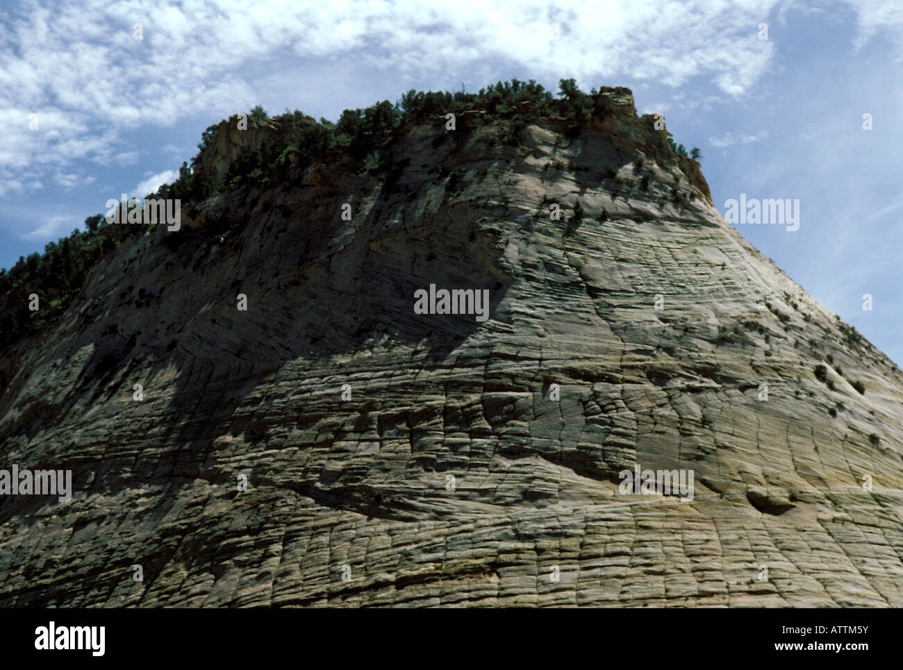 UT Utah Zion National Park Checkerboard Mesa erosion geologic ...