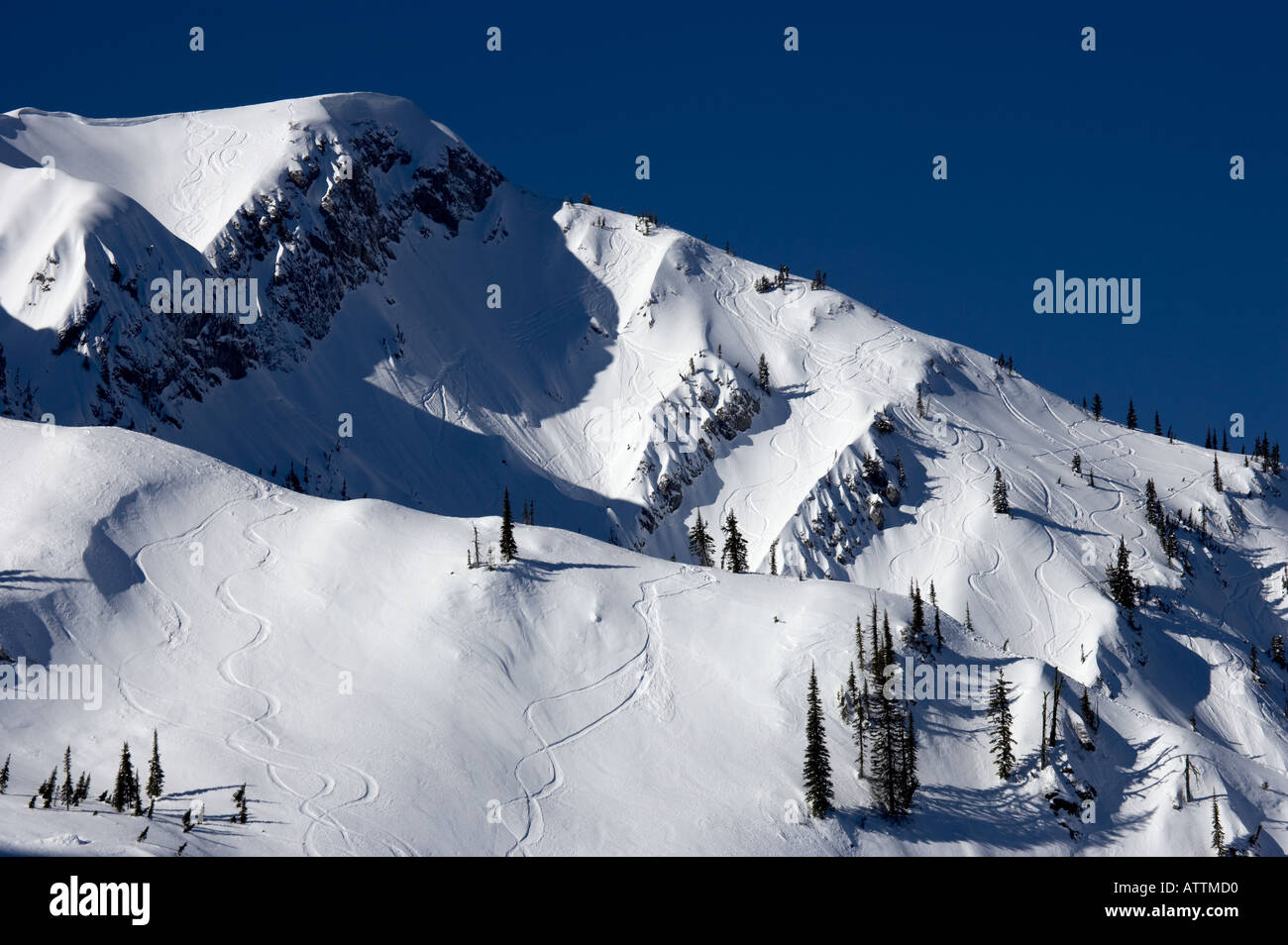 Skiing downhill snow boarding on hi-res stock photography and images ...