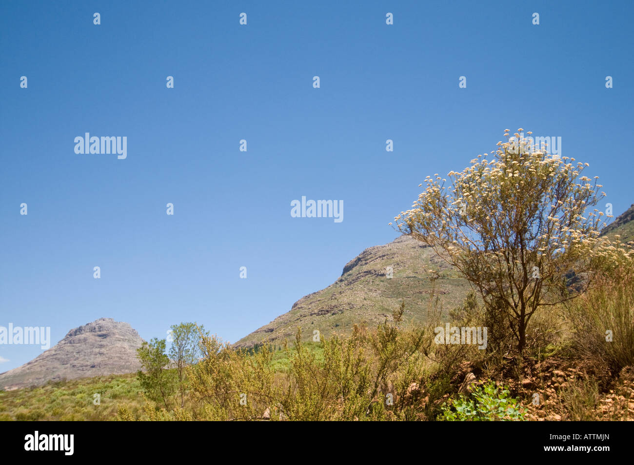 The Cederberg Wilderness Area in the Western Cape of South Africa Stock ...