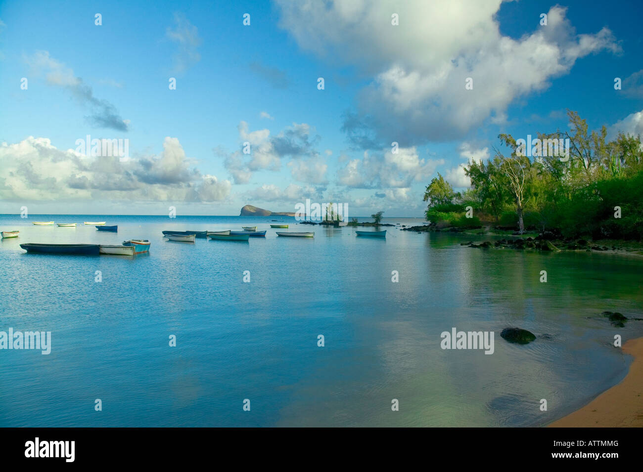 Calodyne mauritius hi-res stock photography and images - Alamy