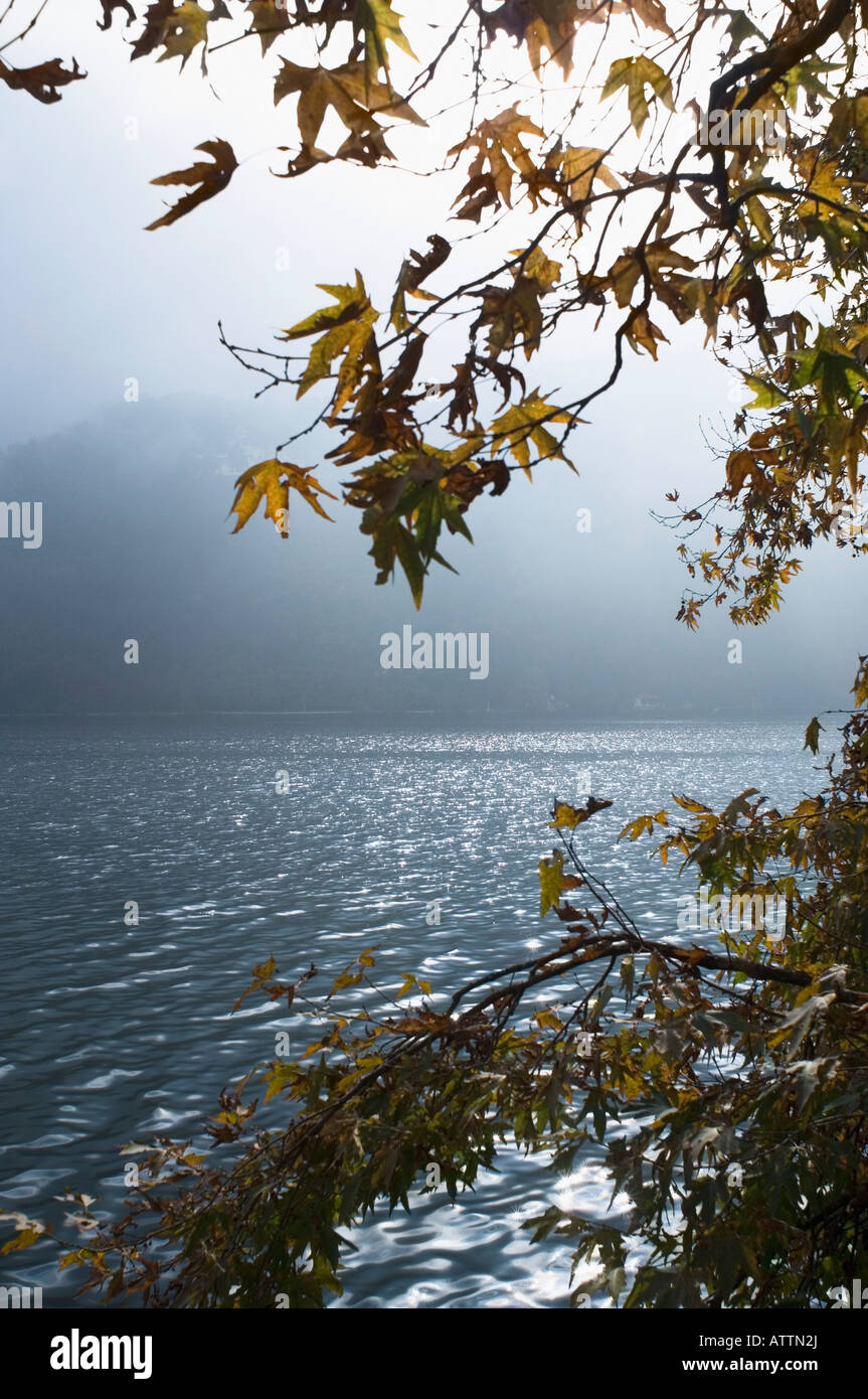 Fog over a lake Stock Photo - Alamy
