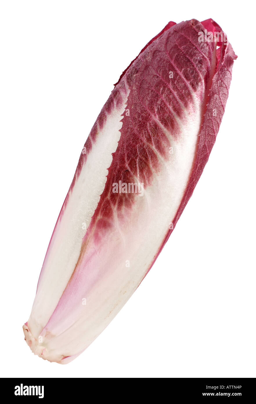 Chicory purple vegetable isolated on white background Stock Photo - Alamy
