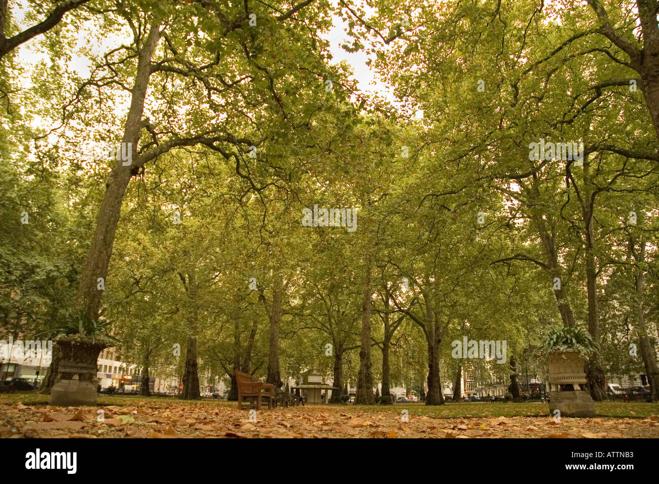 Berkeley square history hi-res stock photography and images - Alamy