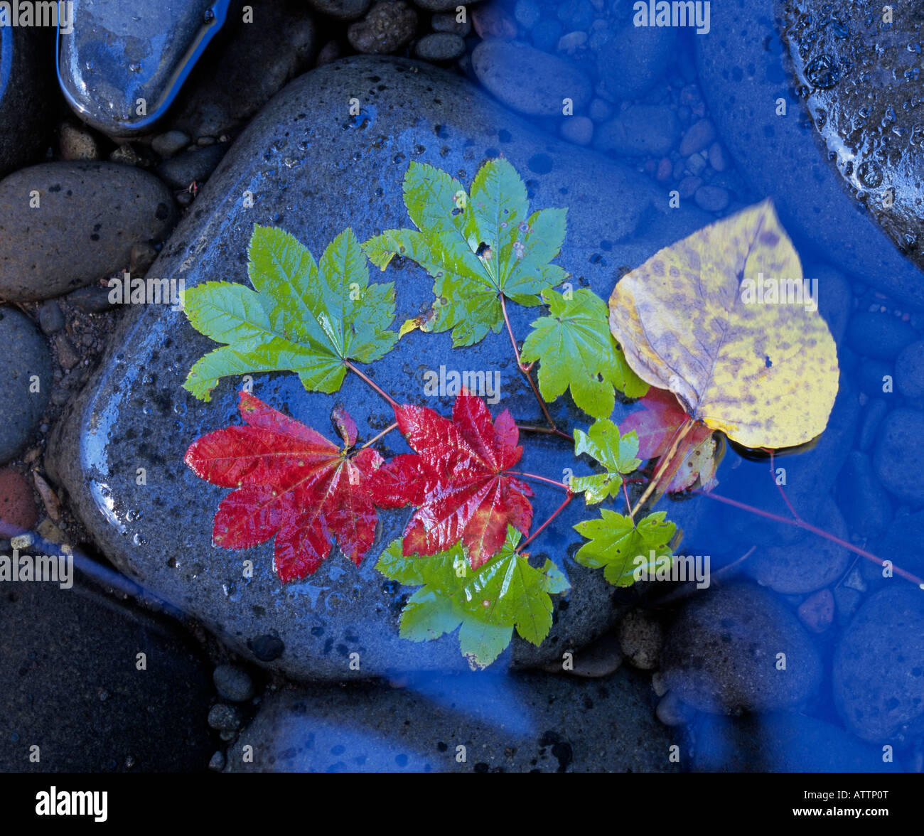 Streamside rocks hi-res stock photography and images - Alamy
