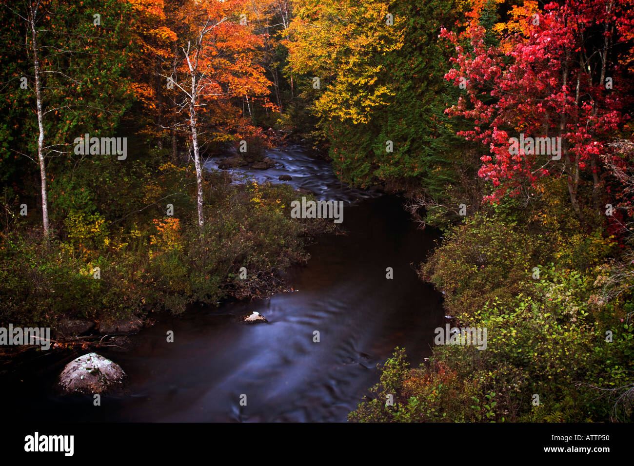 automnal color river Stock Photo - Alamy