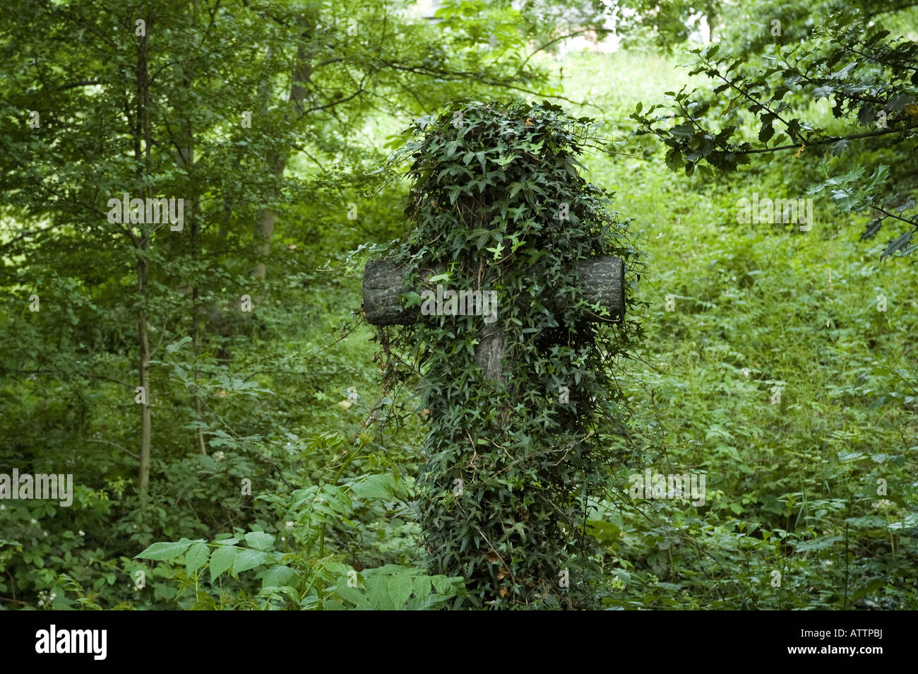 Dead and forgotten hi-res stock photography and images - Alamy