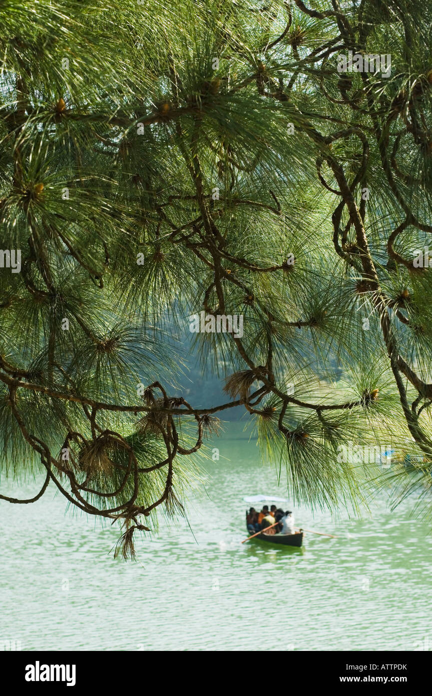 High angle view of a group of people rowing in a lake Stock Photo - Alamy