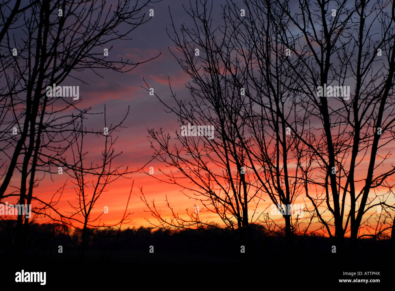 Sunset over fields through a hedge in Kent Stock Photo - Alamy