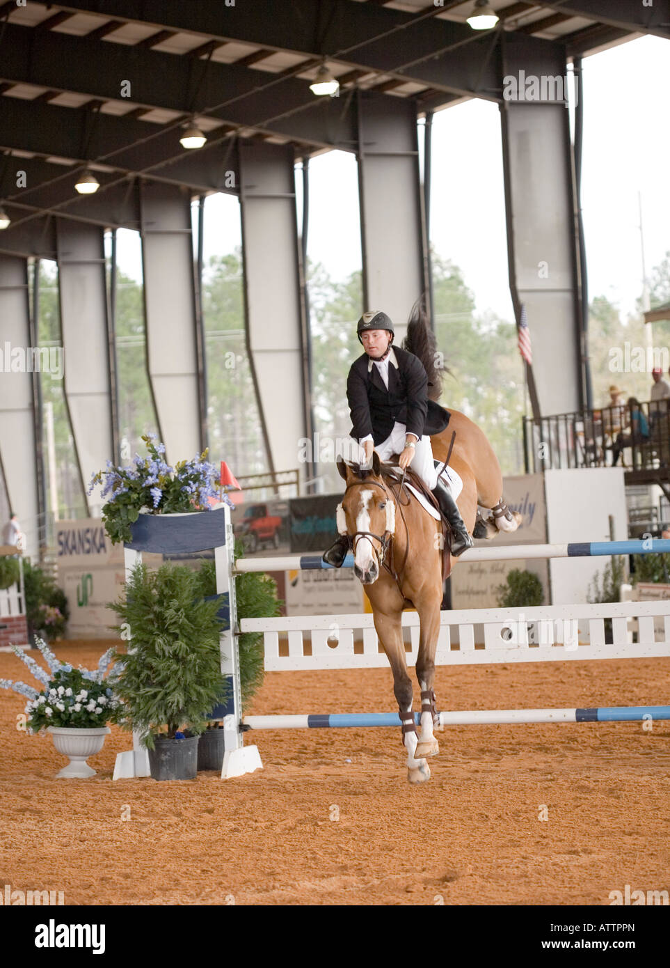 Sharn Wordley at the Jacksonville Winter Series Jumping Competition ...