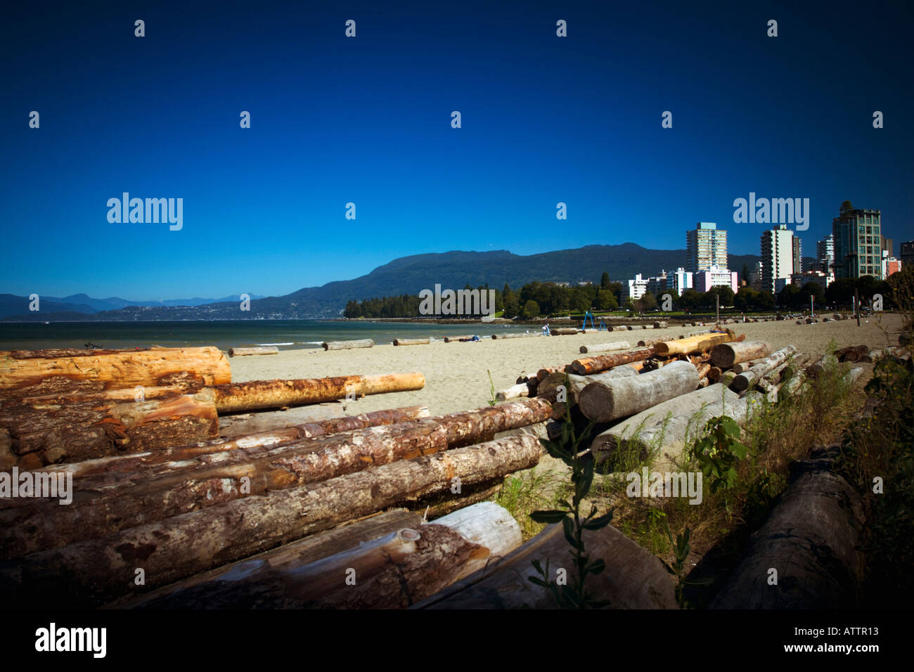 trunks on beach Stock Photo - Alamy