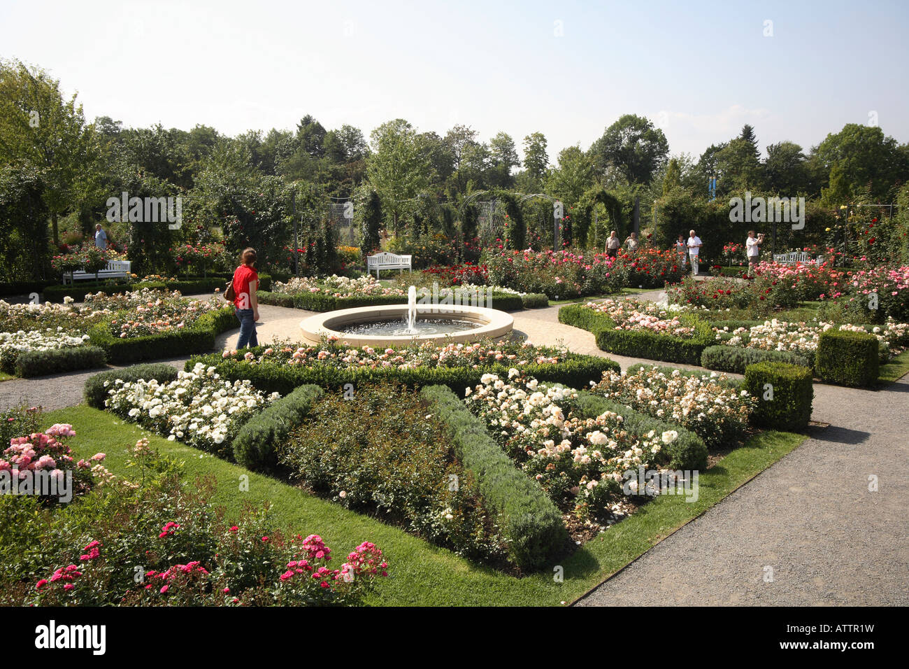 Europa rosarium hi-res stock photography and images - Alamy