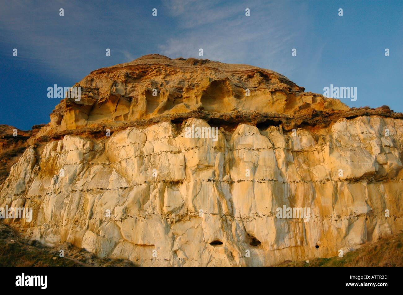 Cretaceous hi-res stock photography and images - Alamy