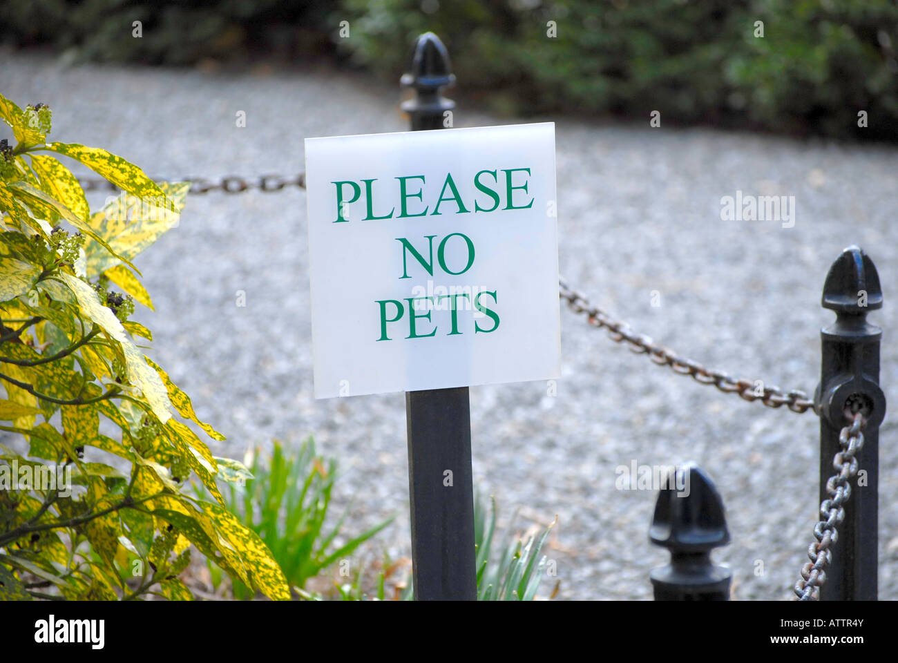 "Please No Pets" sign in Boston Common Stock Photo - Alamy