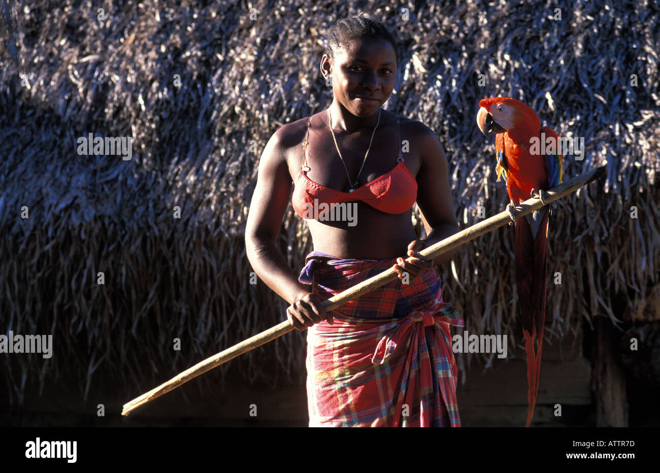 Kumalu a Saramaccan girl with a pet macaw Stock Photo - Alamy