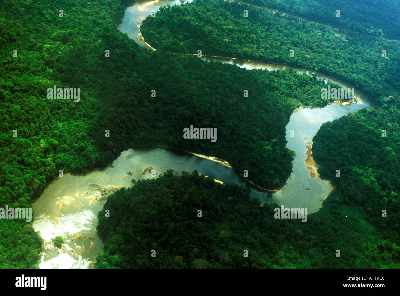 Suriname jungle hi-res stock photography and images - Alamy