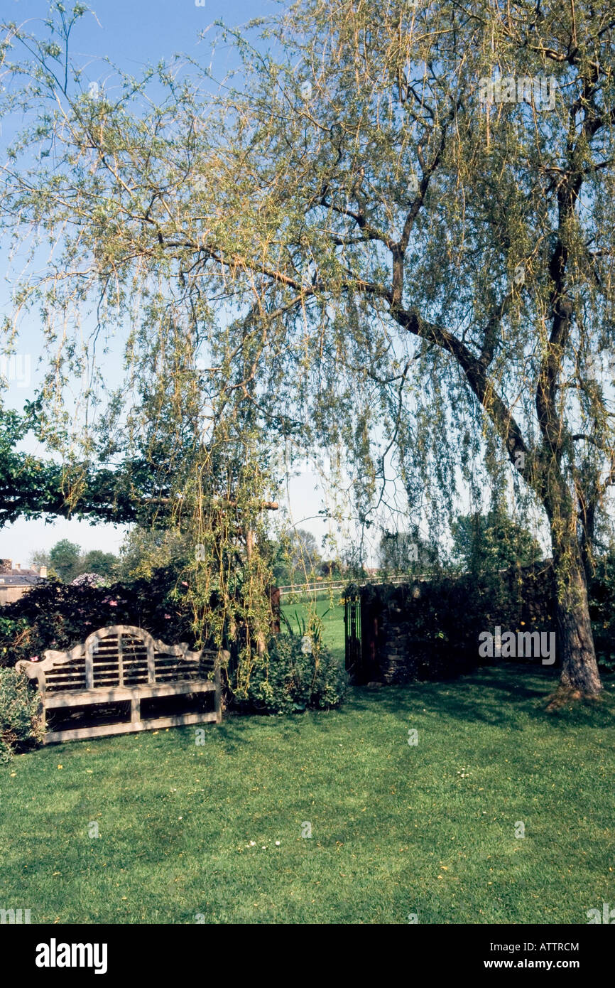 Spring garden corner with bench and tree shade Stock Photo - Alamy