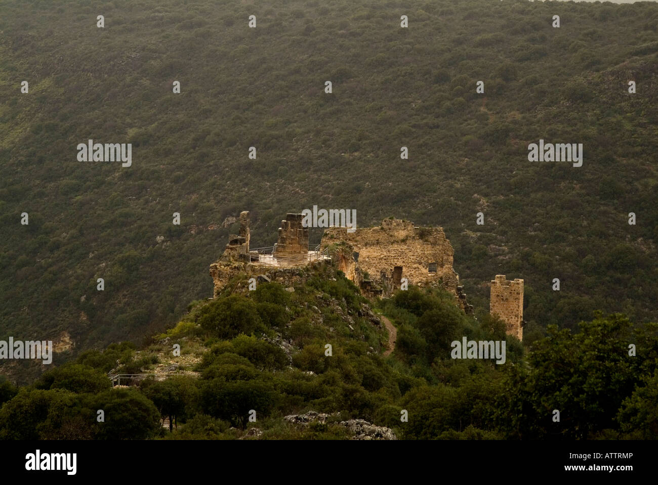 the montfort castle Israel Starkenberg Stock Photo - Alamy