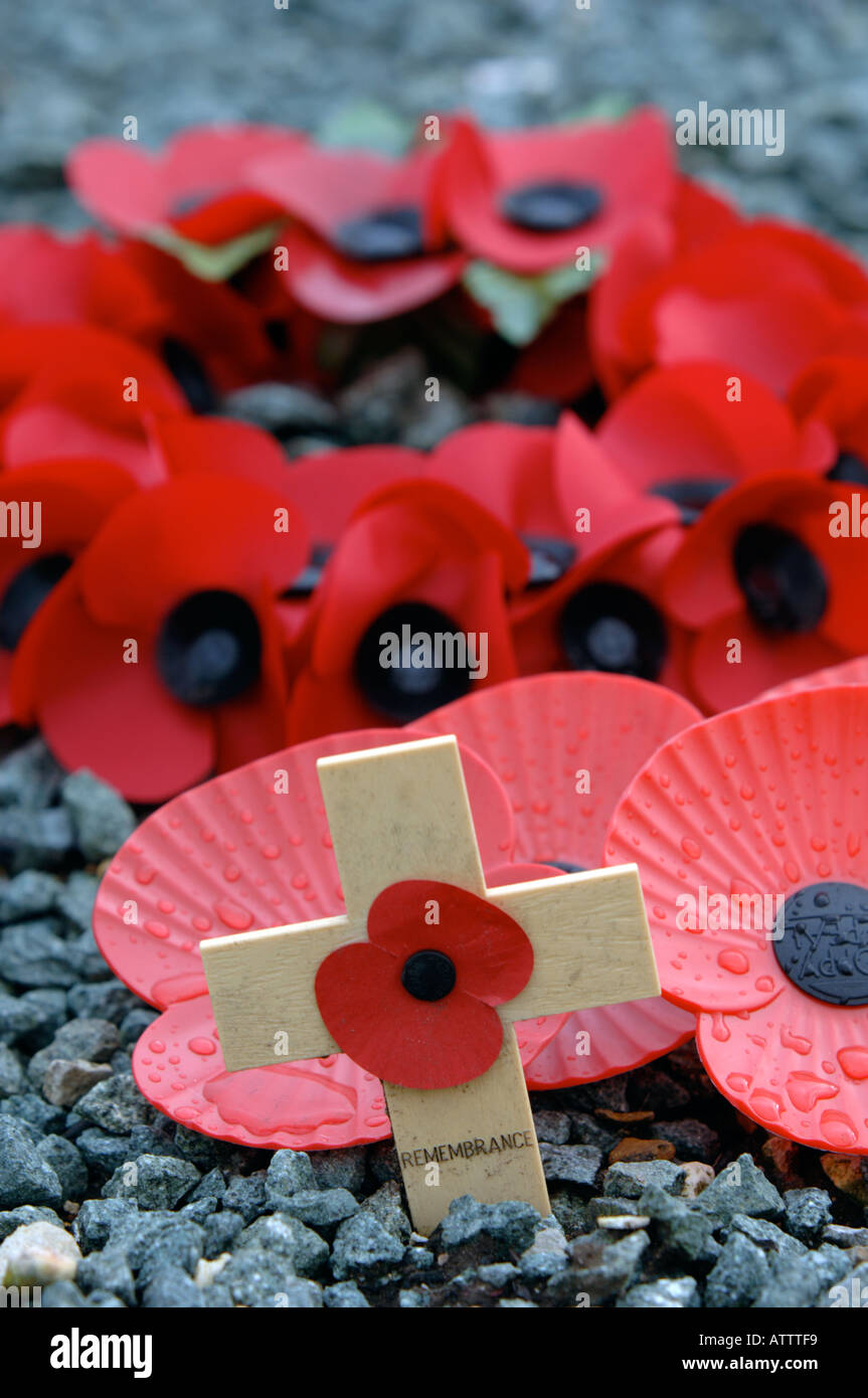 Remembrance Day crosses and poppies Stock Photo - Alamy