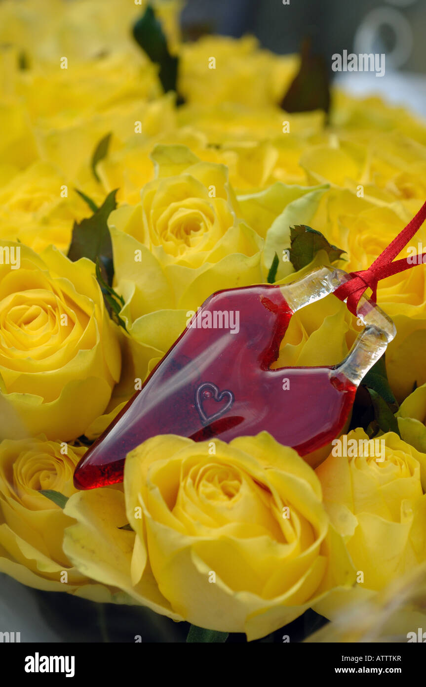 Yellow rose heart hi-res stock photography and images - Alamy