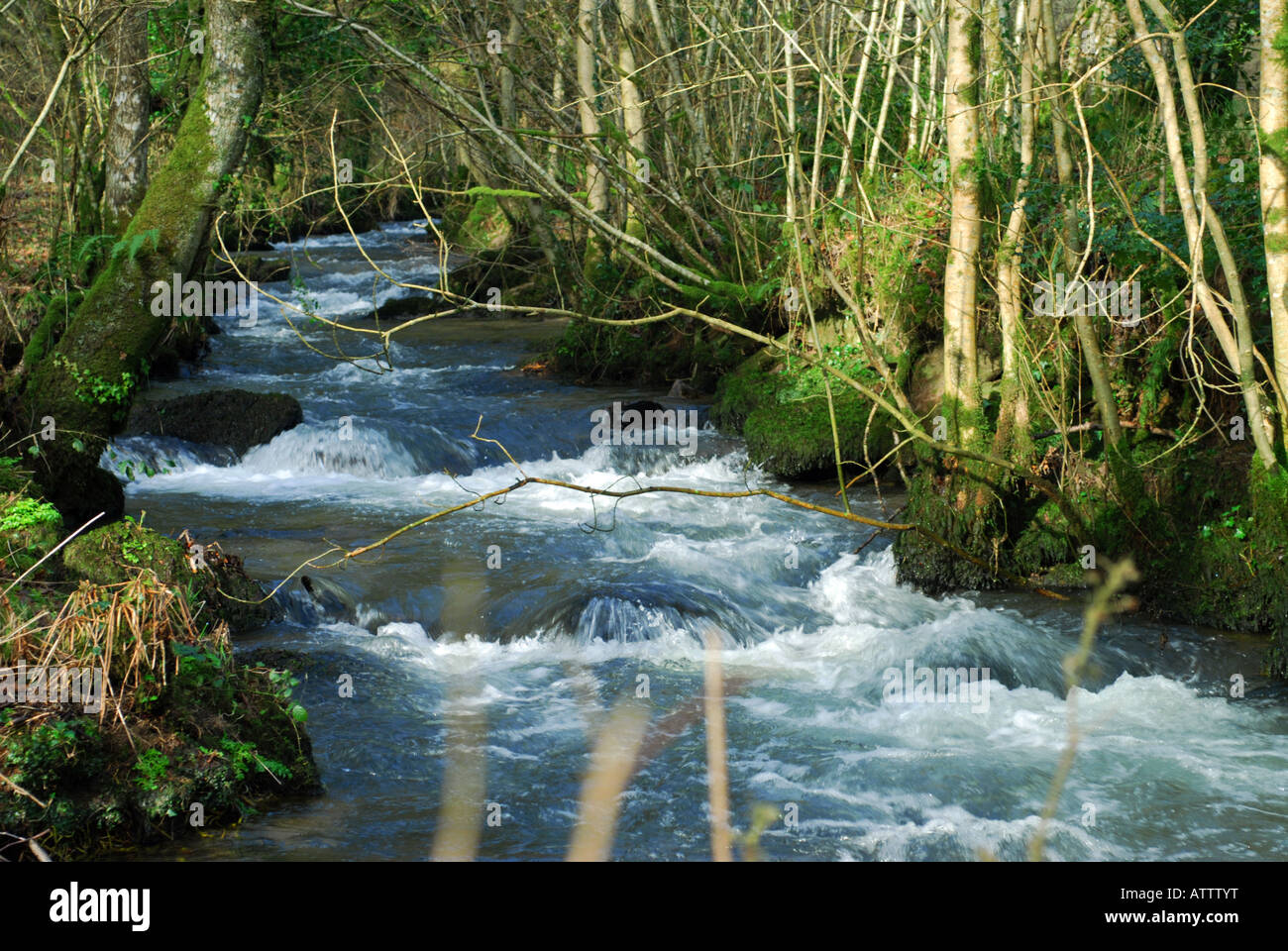 Moorland stream on Exmoor Stock Photo - Alamy