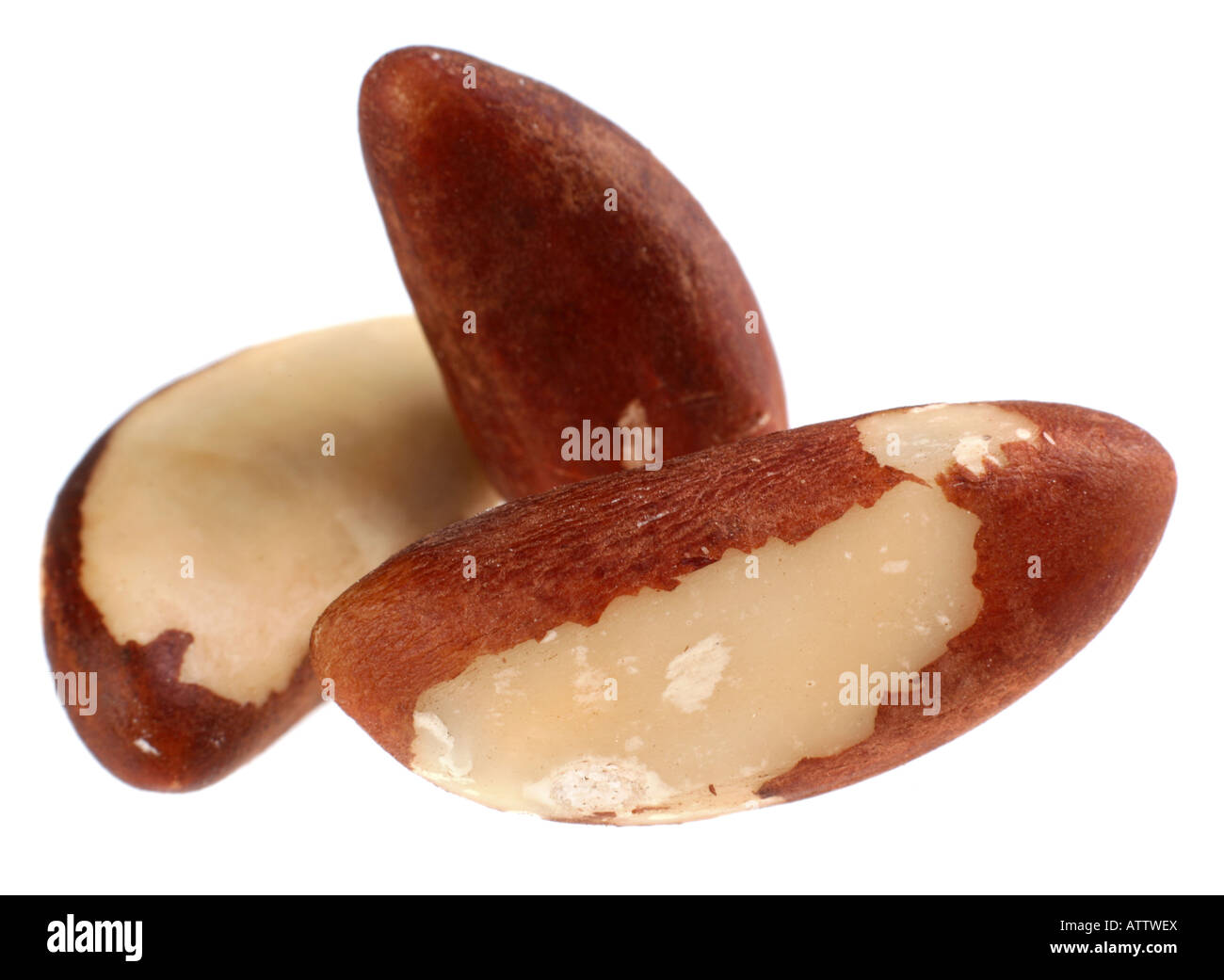 Brazil nut detail isolated on white background Stock Photo - Alamy