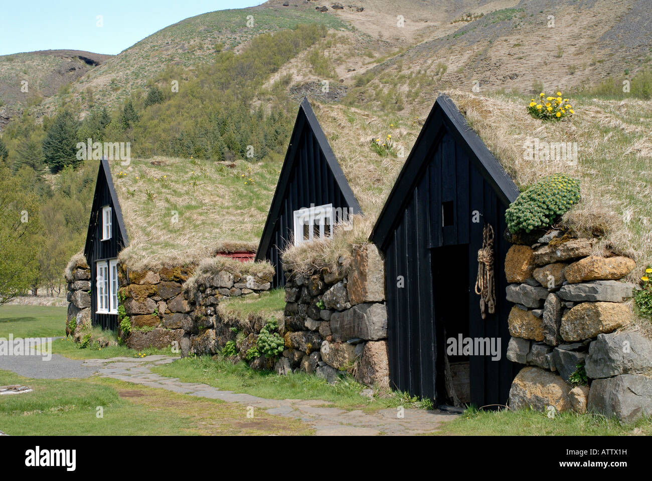 Traditional old turf covered houses at Skogar open air museum on the ...