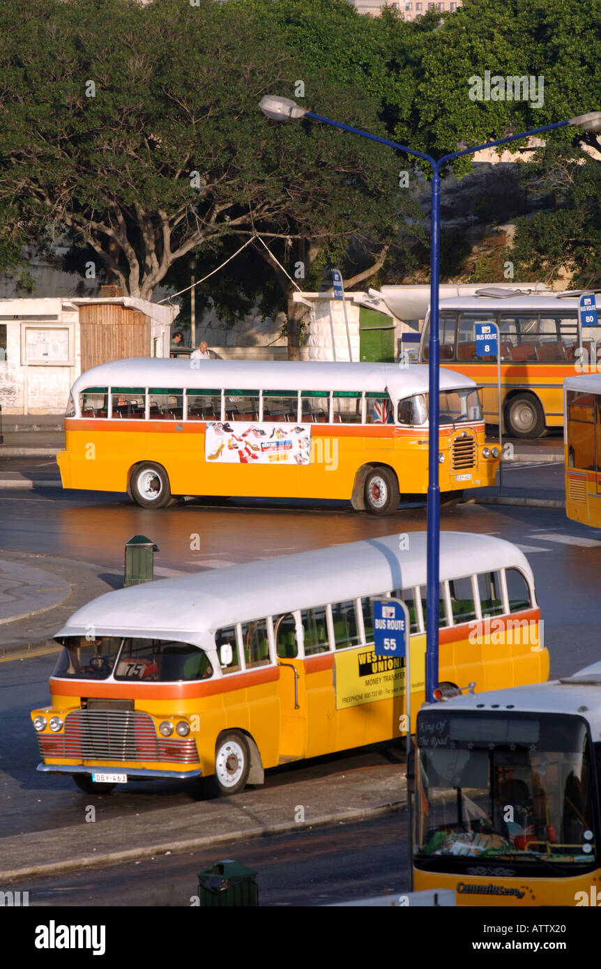 The old style buses that are the main transport The Island of Malta ...