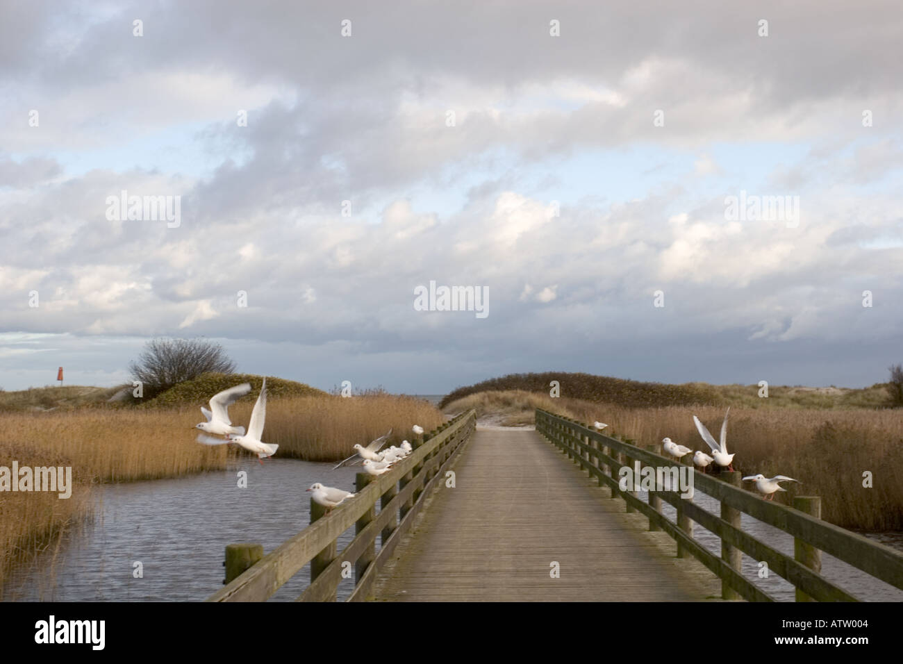 Brøndby strand copenhagen hi-res stock photography and images - Alamy