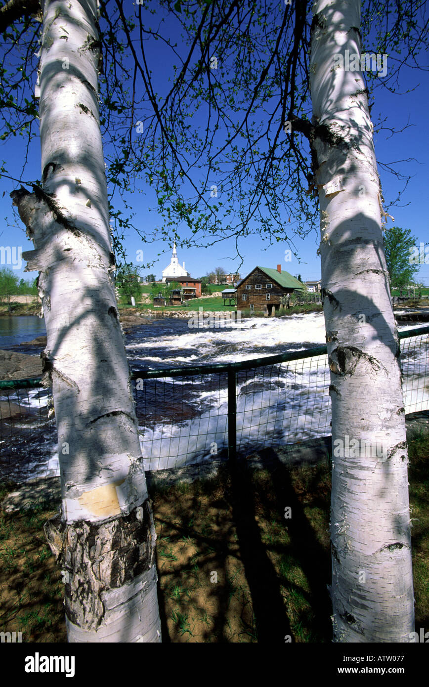 Birch rapids hi-res stock photography and images - Alamy