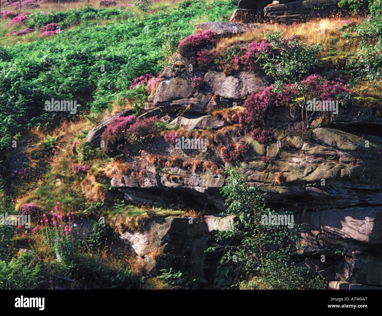 Sandstone outcrop layers hi-res stock photography and images - Alamy