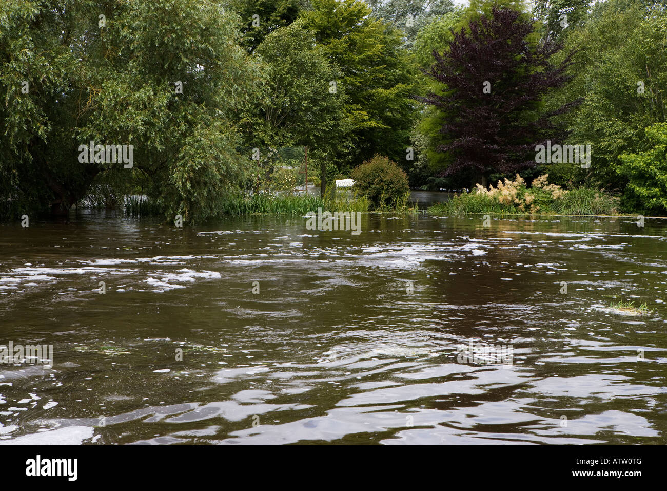 Elsing High Resolution Stock Photography and Images - Alamy