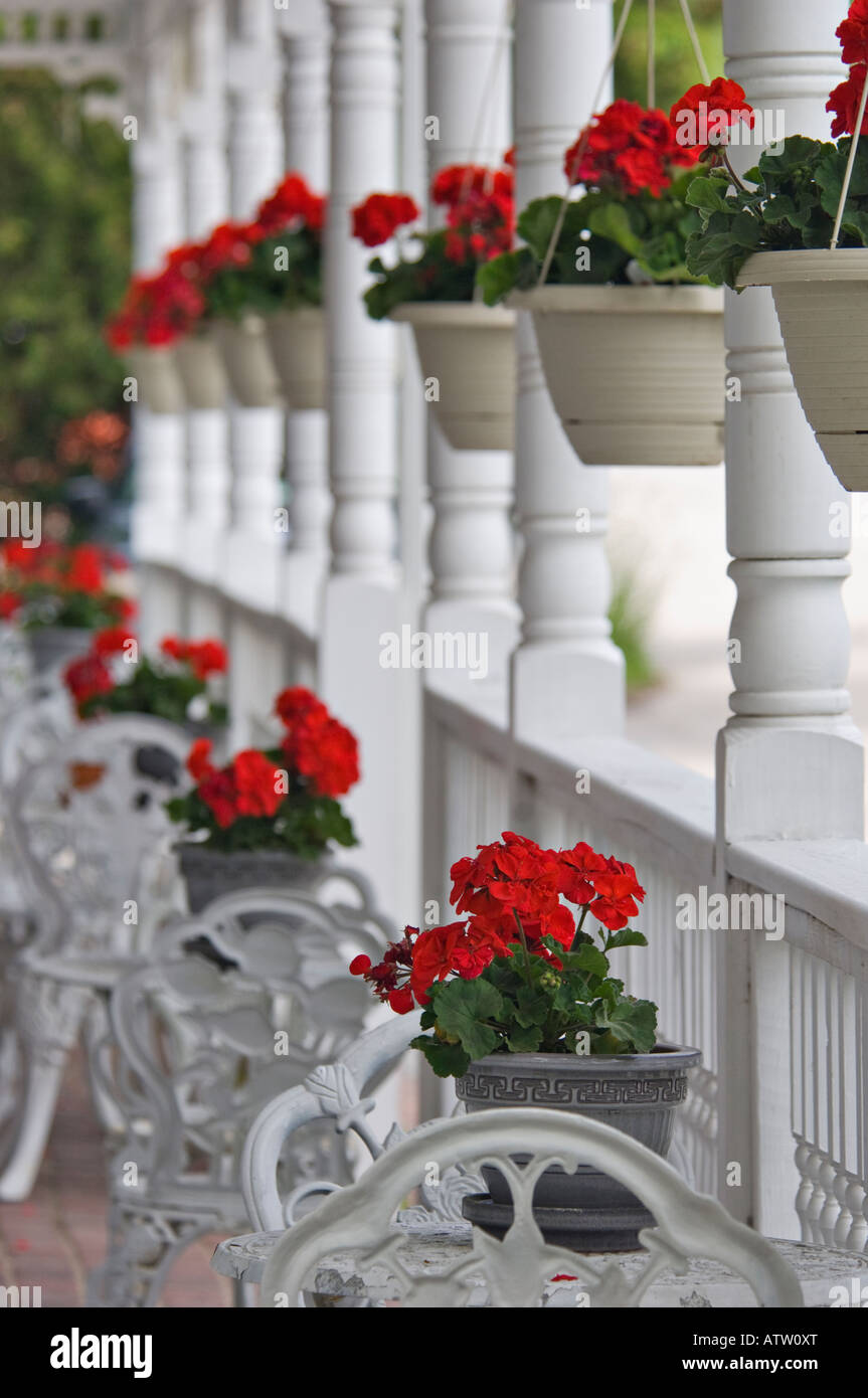 Red Geraniums on Tables and in Hanging Baskets on White Porch Door ...