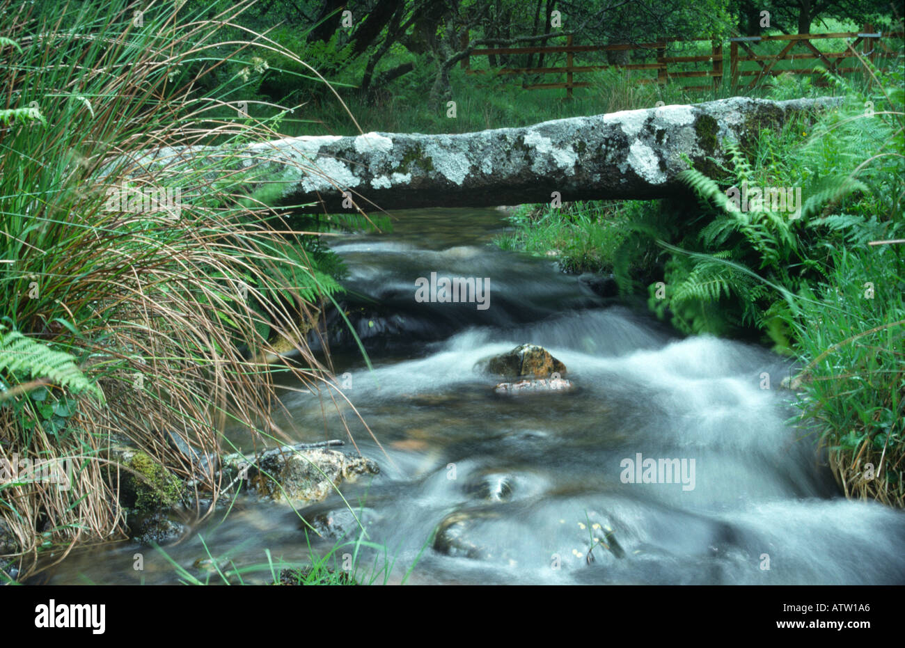 Gates of dartmoor hi-res stock photography and images - Alamy